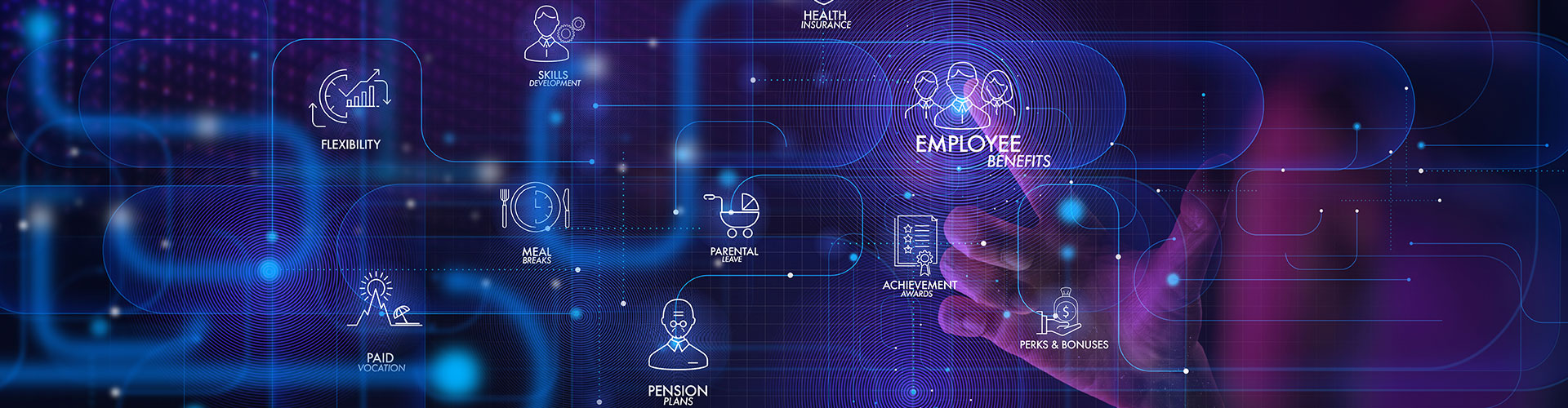 P11D Solutions | Reporting & Submission Software